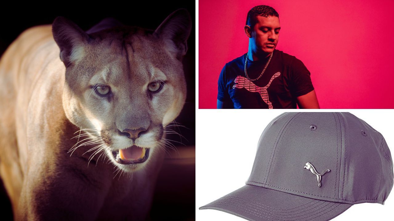 These 6 Puma Golf Hats Will Keep Your Head in the Game!