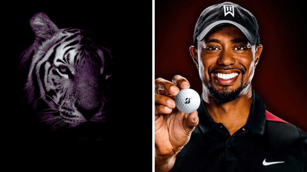 Tee Off in Style and Tigerrr Power with Bridgestone Tour B XS