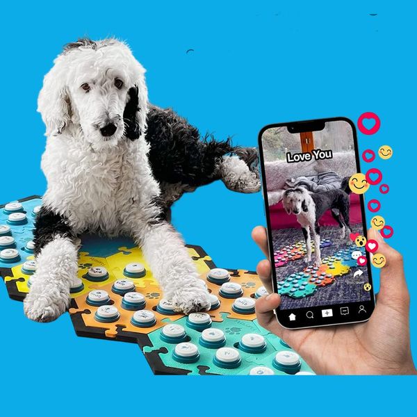 The 10 Best Dog-Talking Buttons To Hear Your Dog Speak!